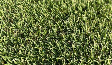 Tulsa Sod Company | Sod Installation & Delivery